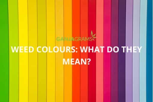 Weed Colors: What Do They Mean? - Ganjagrams