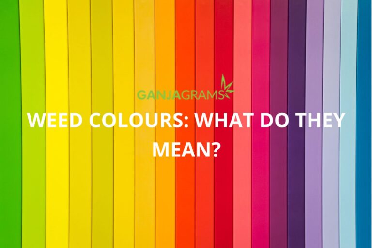 Weed Colors: What Do They Mean? - Ganjagrams