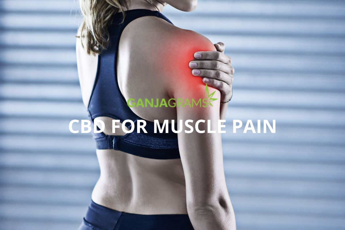 CBD For Muscle Pain Buy CBD Online Ganjagrams